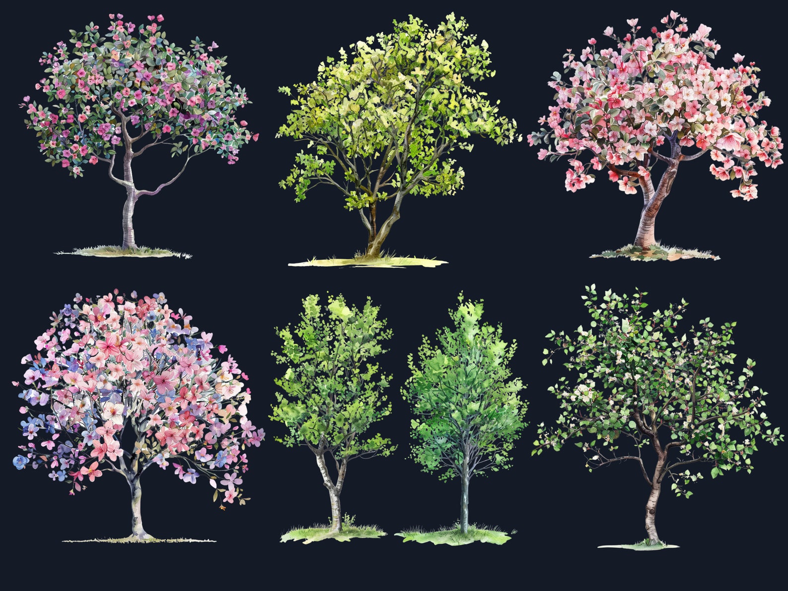 40 PNG Watercolor Spring Tree Clipart, Floral Spring Forest Tree ...