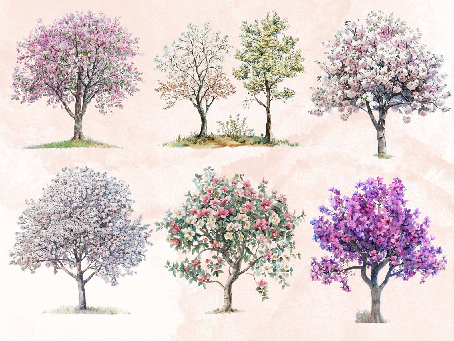 40 PNG Watercolor Spring Tree Clipart, Floral Spring Forest Tree ...
