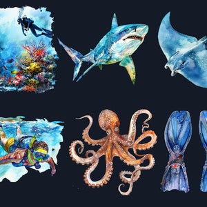 35 PNG Watercolor Scuba Diving Clipart, Cute Ocean Diver Clip Art, Sea ...