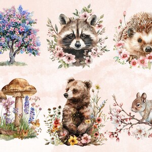 50 PNG Watercolor Spring Woodland Clipart, Floral Spring Forest ...