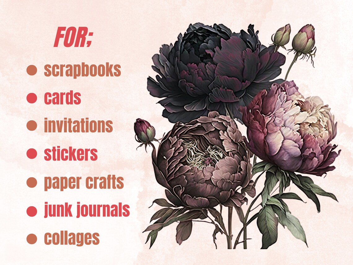 23 PNG Watercolour Gothic Peonies Clipart, Gothic Peony Clip Art Bundle ...