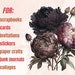 23 PNG Watercolour Gothic Peonies Clipart, Gothic Peony Clip Art Bundle ...
