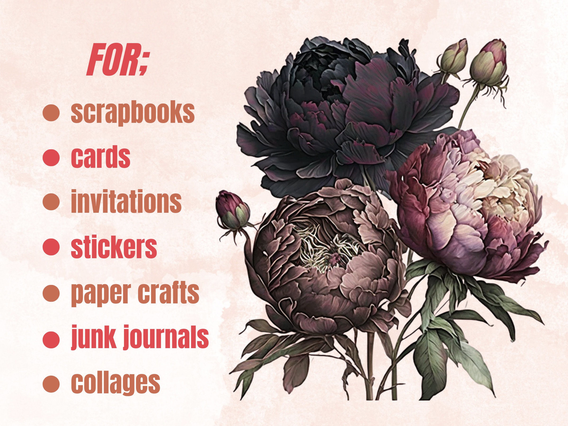 23 PNG Watercolour Gothic Peonies Clipart Gothic Peony Clip - Etsy UK