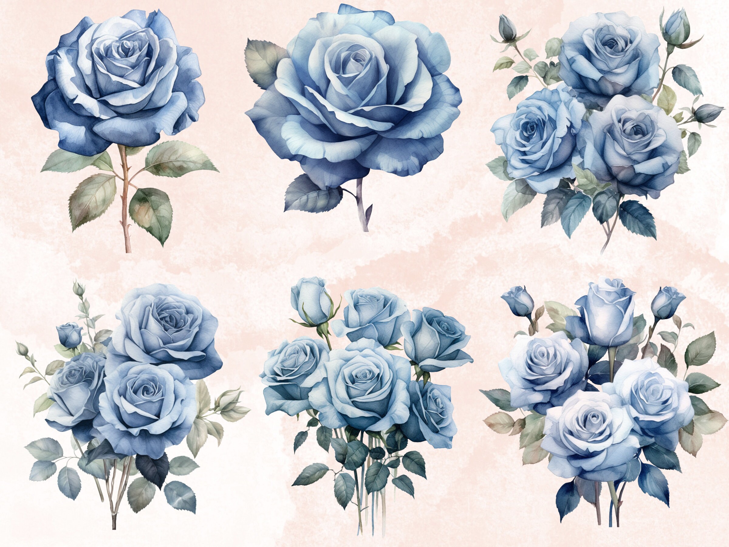 33 PNG Watercolor Dusty Blue Roses Clipart Bundle, Blush Blue PNG Clip ...