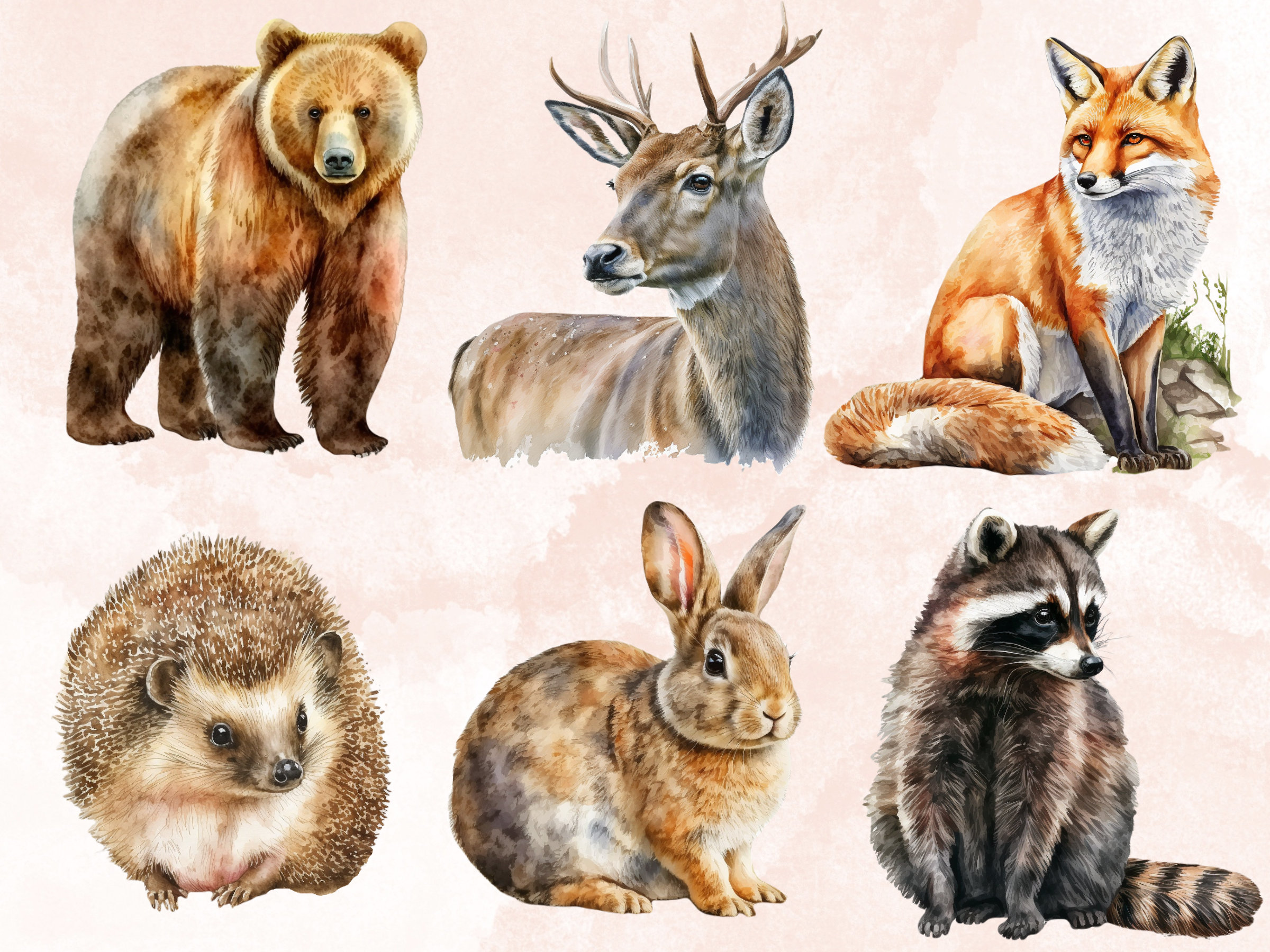 28 PNG Watercolour Woodland Animals Clipart Bundle, Forest Elements ...