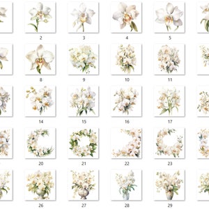 30 PNG Watercolor White Orchids Clipart, Orchid PNG Clip Art Bundle ...