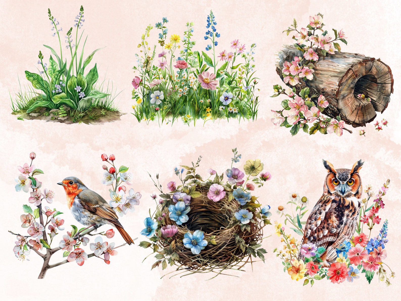 50 PNG Watercolor Spring Woodland Clipart, Floral Spring Forest ...