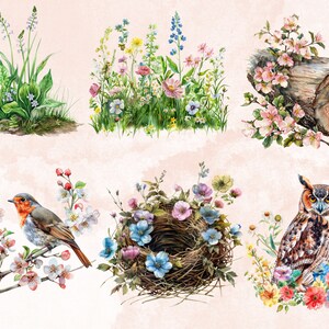 50 PNG Watercolor Spring Woodland Clipart, Floral Spring Forest ...