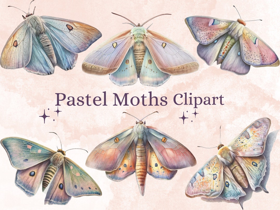 18 PNG Watercolour Pastel Moths Clipart, Moth Clip Art, Pastel ...
