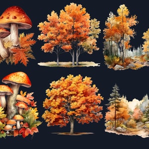 32 PNG Watercolor Fall Woodland Clipart, Autumn Forest Illustrations ...
