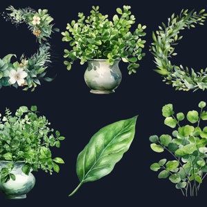 40 PNG Watercolour Greenery Clipart, Botanical PNG Clip Art, Greenery ...
