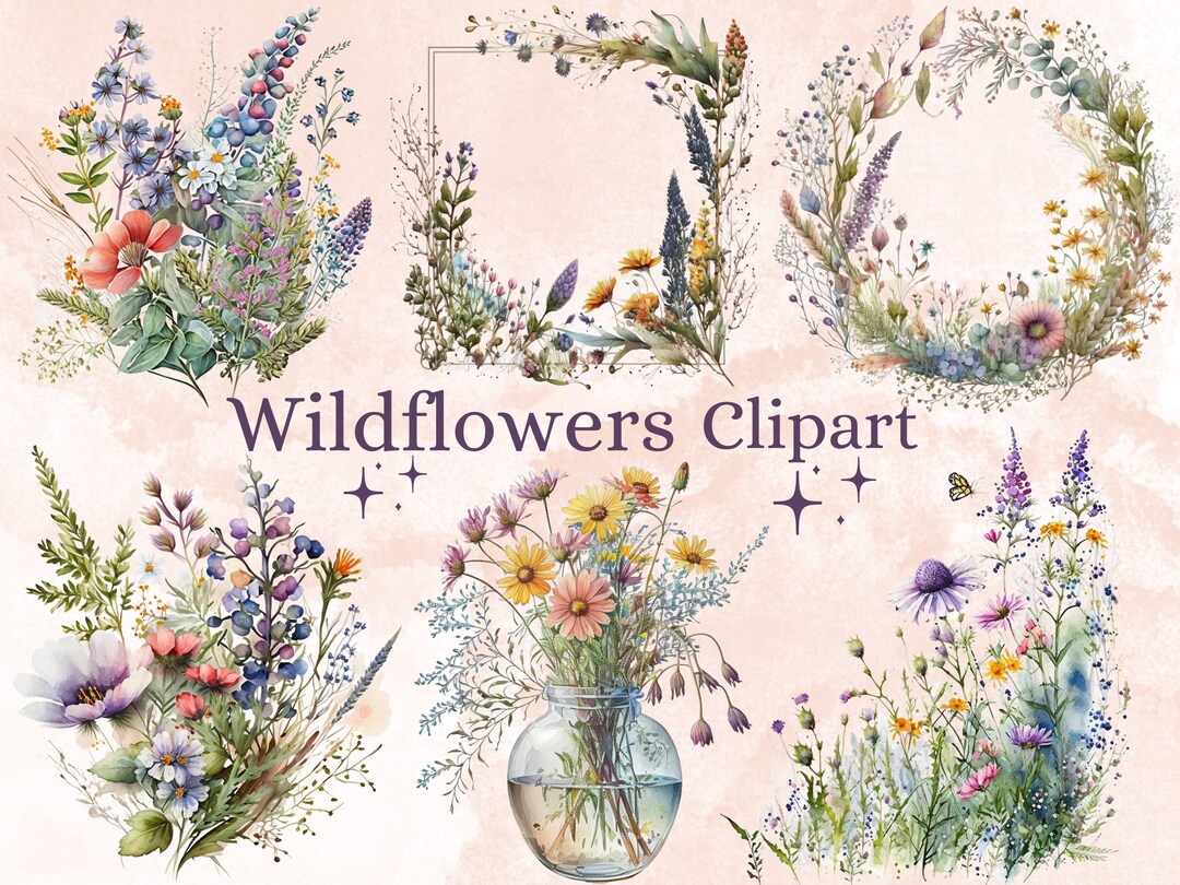 27 PNG Watercolour Wildflowers Clipart, Wild Flower Clip Art Bundle ...