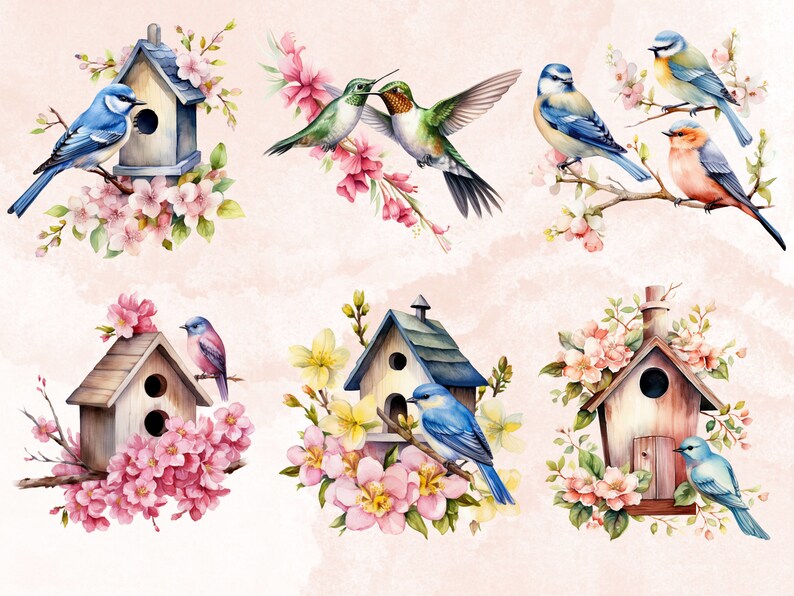 40 PNG Watercolor Spring Birds Clipart, Floral Spring Birdhouse ...
