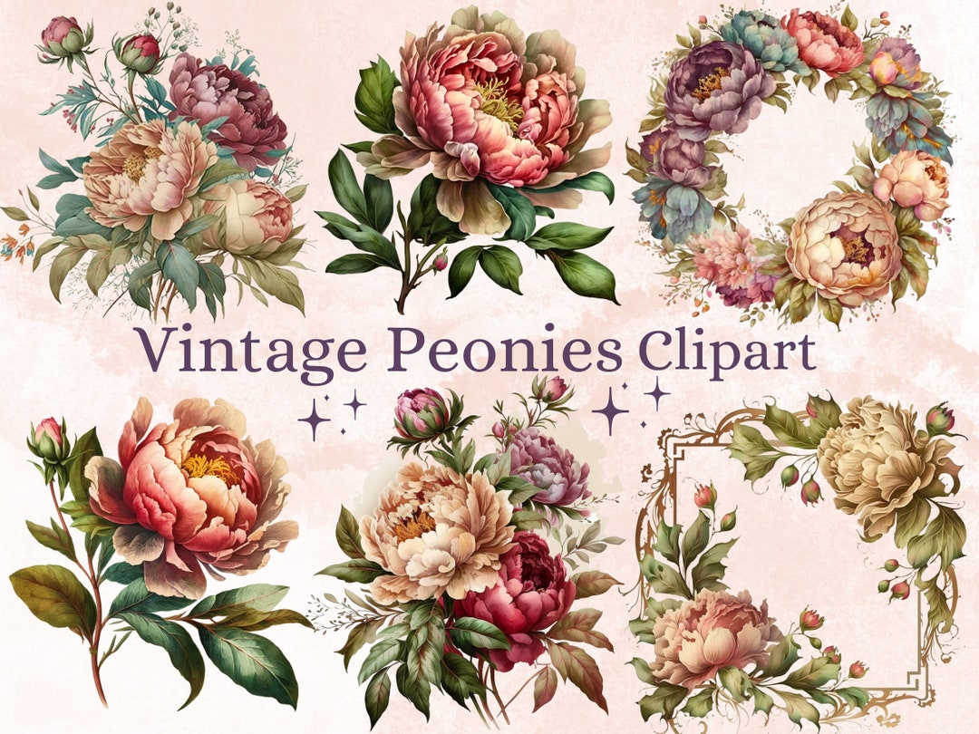 20 PNG Watercolour Vintage Peonies Clipart, Retro Peony Clip Art ...