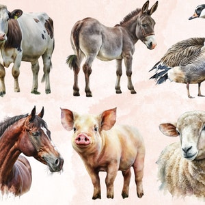 32 PNG Watercolor Farm Animals Clipart, Farm Barn Animals PNG Bundle ...
