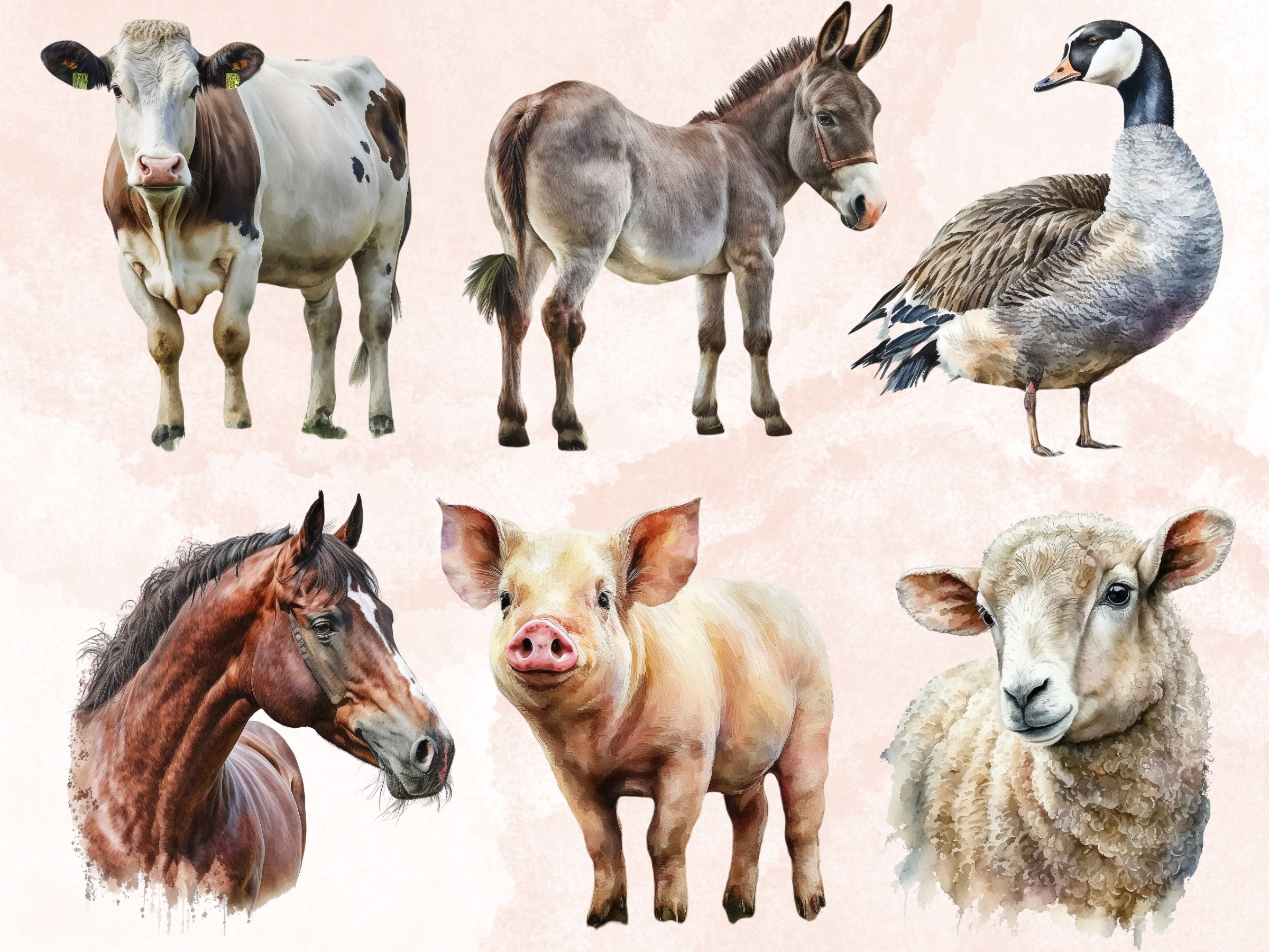 32 PNG Watercolor Farm Animals Clipart, Farm Barn Animals PNG Bundle ...