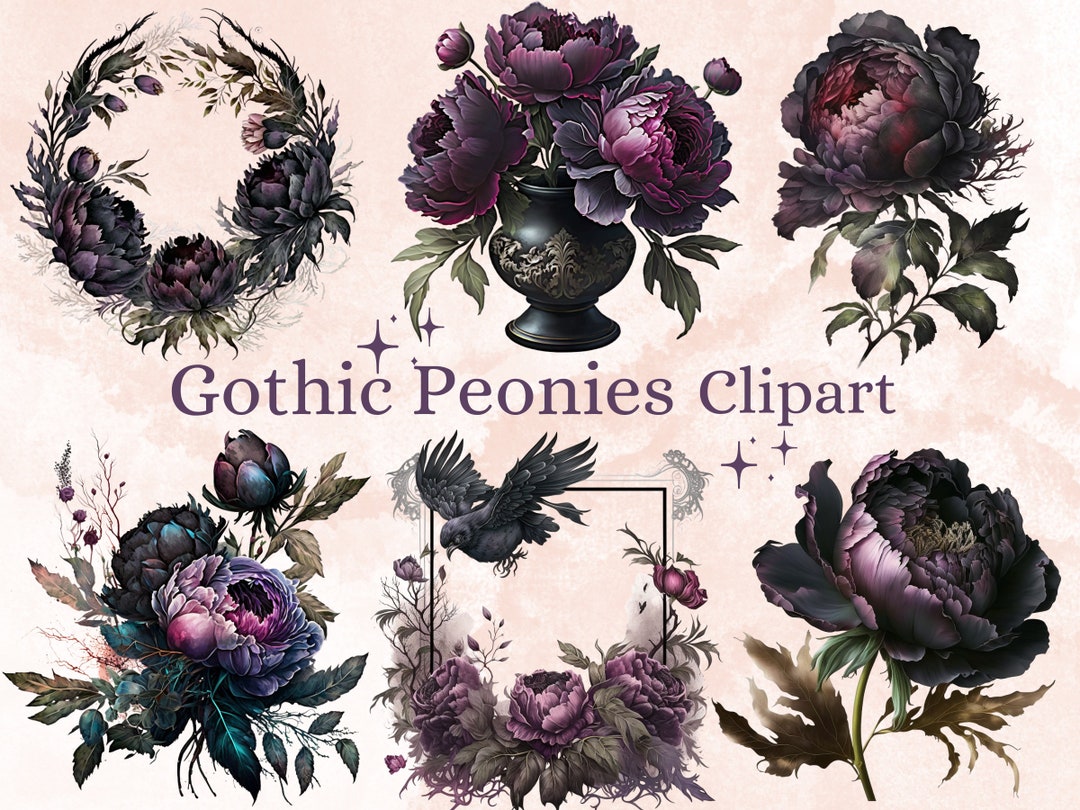 23 PNG Watercolour Gothic Peonies Clipart, Gothic Peony Clip Art Bundle ...
