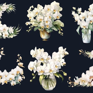 30 PNG Watercolor White Orchids Clipart, Orchid PNG Clip Art Bundle ...