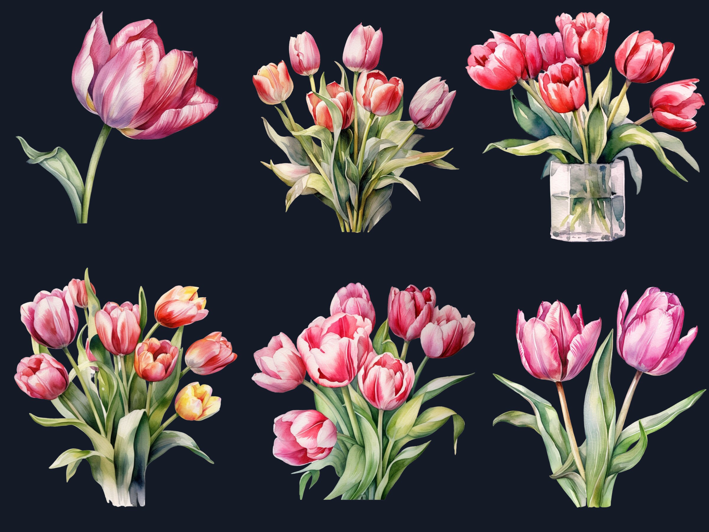 32 PNG Watercolor Tulips Clipart, Tulip PNG Clip Art Bundle, Spring ...