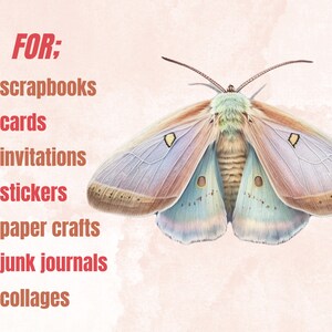 18 PNG Watercolour Pastel Moths Clipart, Moth Clip Art, Pastel ...