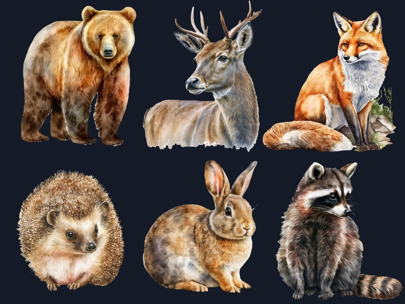 28 PNG Watercolour Woodland Animals Clipart Bundle, Forest Elements ...