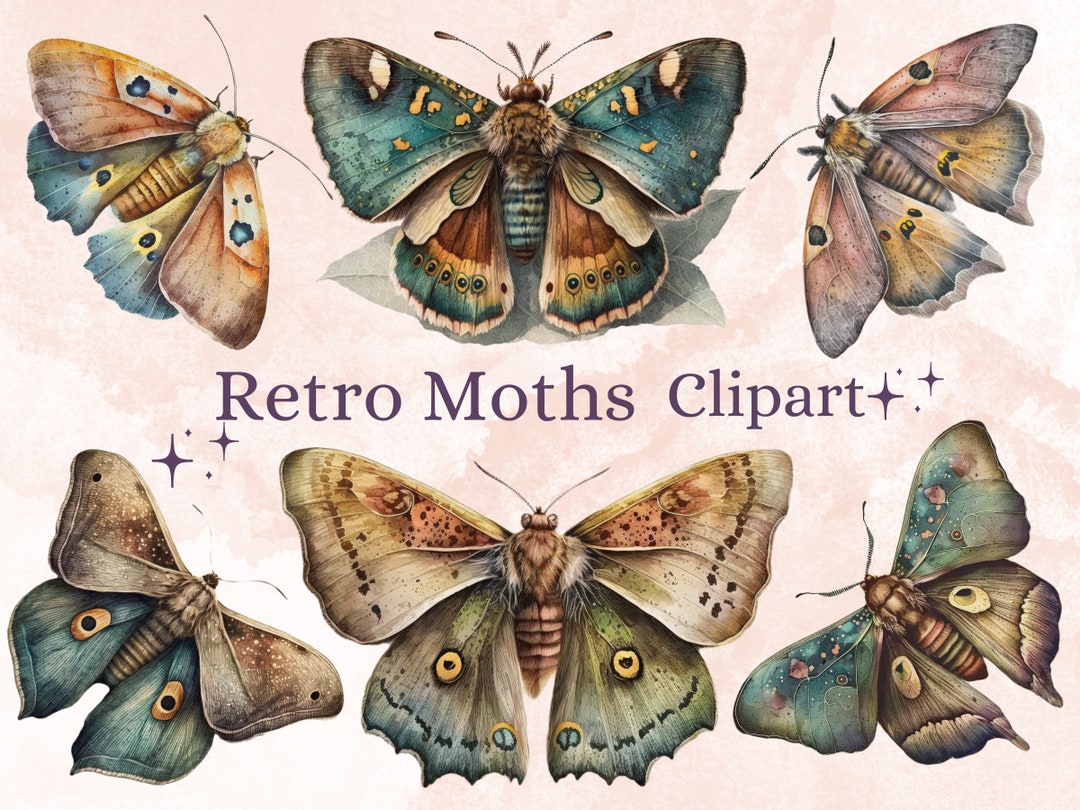 20 PNG Watercolour Retro Moths Clipart, Vintage Moth Clip Art, Retro ...