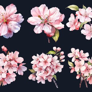 30 PNG Watercolor Cherry Blossom Clipart, Japanese Sakura PNG Clip Art ...