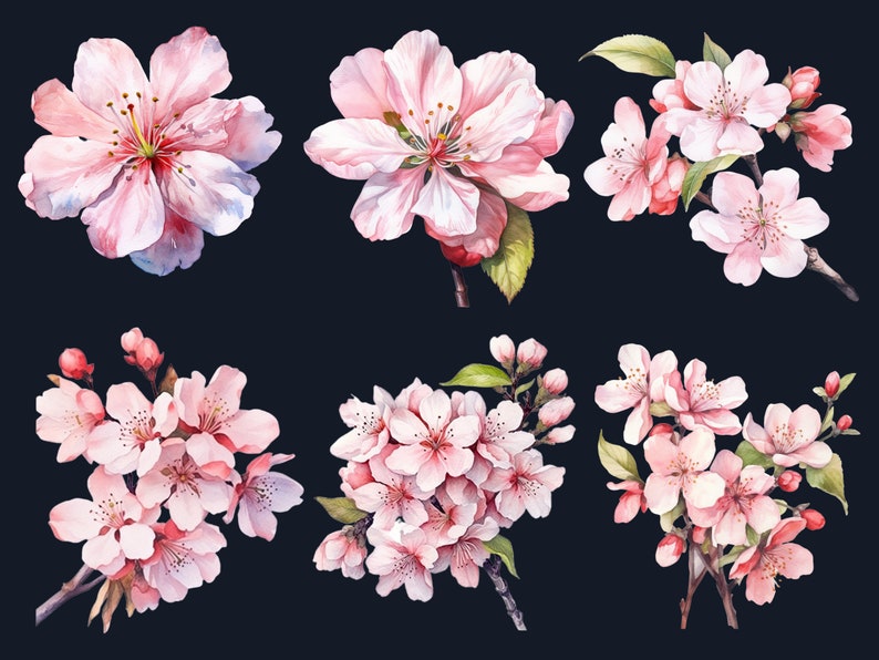30 PNG Watercolor Cherry Blossom Clipart, Japanese Sakura PNG Clip Art ...