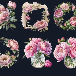 24 PNG Watercolor Pink Peonies Clipart, Pink Peony Clip Art Bundle ...