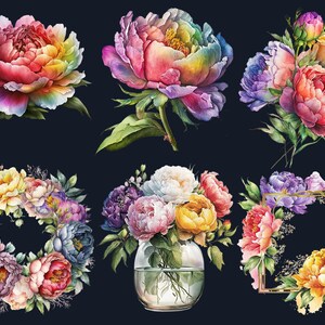 22 PNG Watercolor Rainbow Peonies Clipart, Colorful Peony Clip Art ...