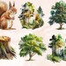 28 PNG Watercolour Woodland Animals Clipart Bundle, Forest Elements ...