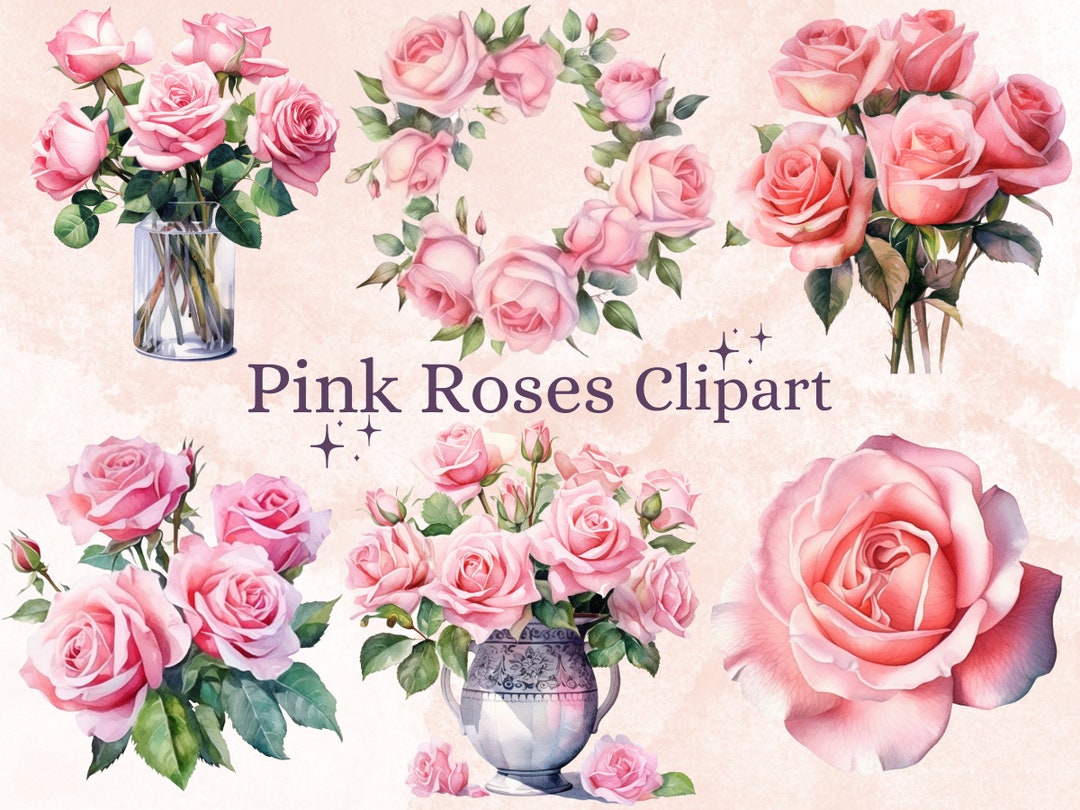 32 PNG Watercolor Pink Roses Clipart Bundle, Blush Rose PNG Clip Art ...