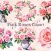 32 PNG Watercolor Pink Roses Clipart Bundle, Blush Rose PNG Clip Art ...