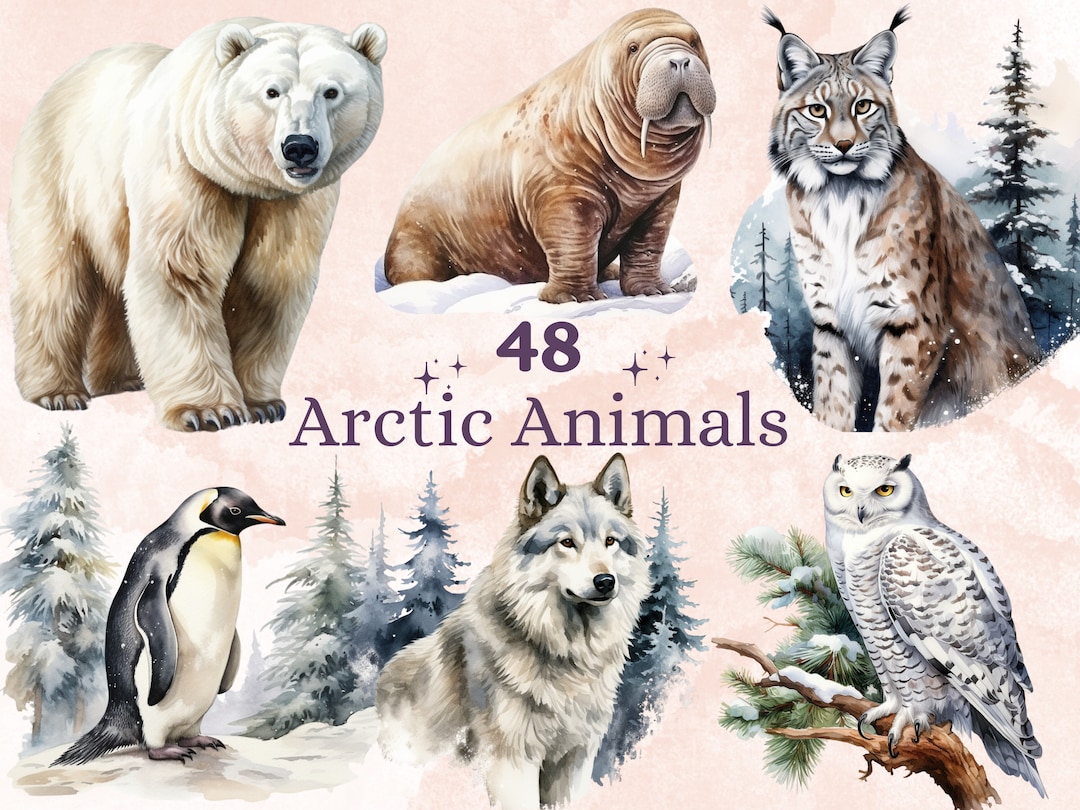 48 PNG Watercolour Winter Arctic Animals Clipart, Snowy Forest Clip Art ...