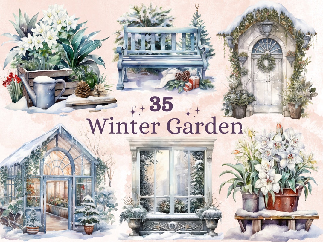 35 PNG Watercolor Winter Garden Clipart, Cozy Winter Botanical ...