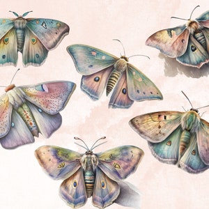 18 PNG Watercolour Pastel Moths Clipart, Moth Clip Art, Pastel ...