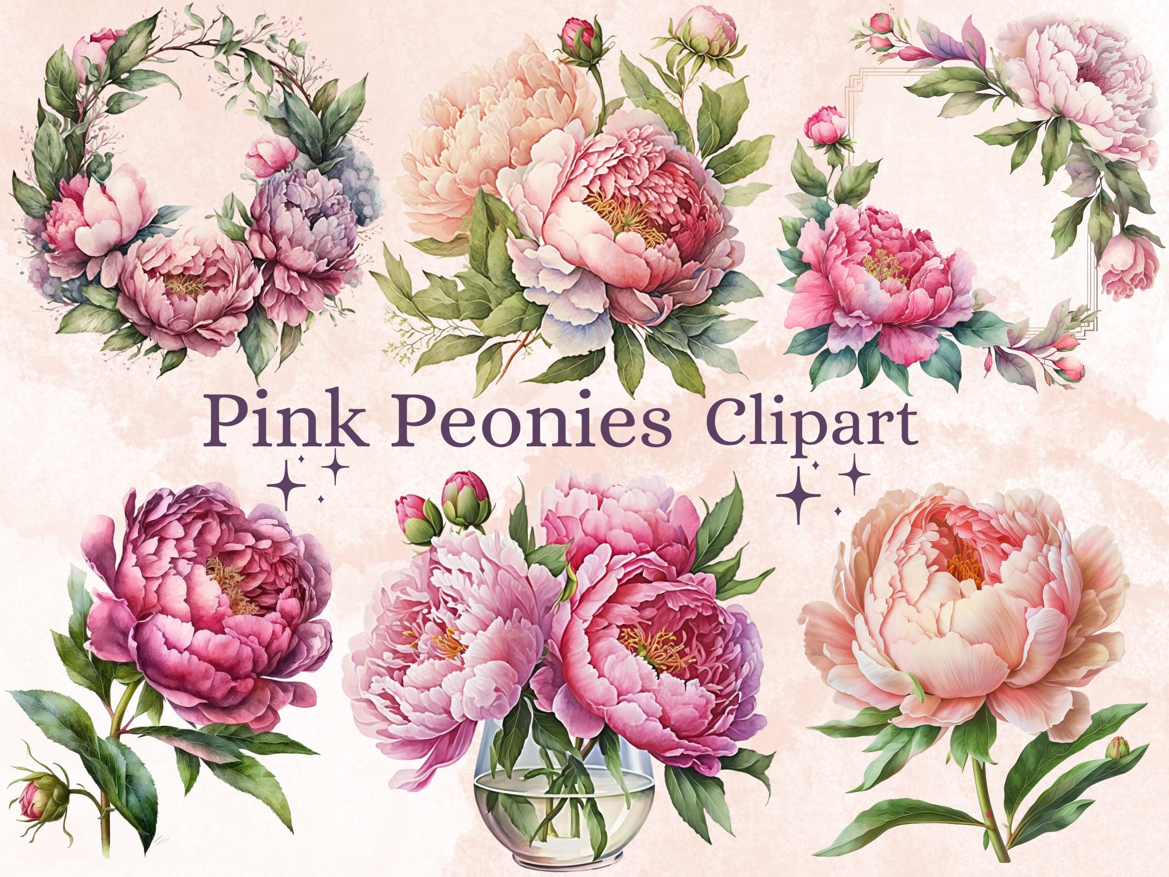 24 PNG Watercolor Pink Peonies Clipart, Pink Peony Clip Art Bundle ...