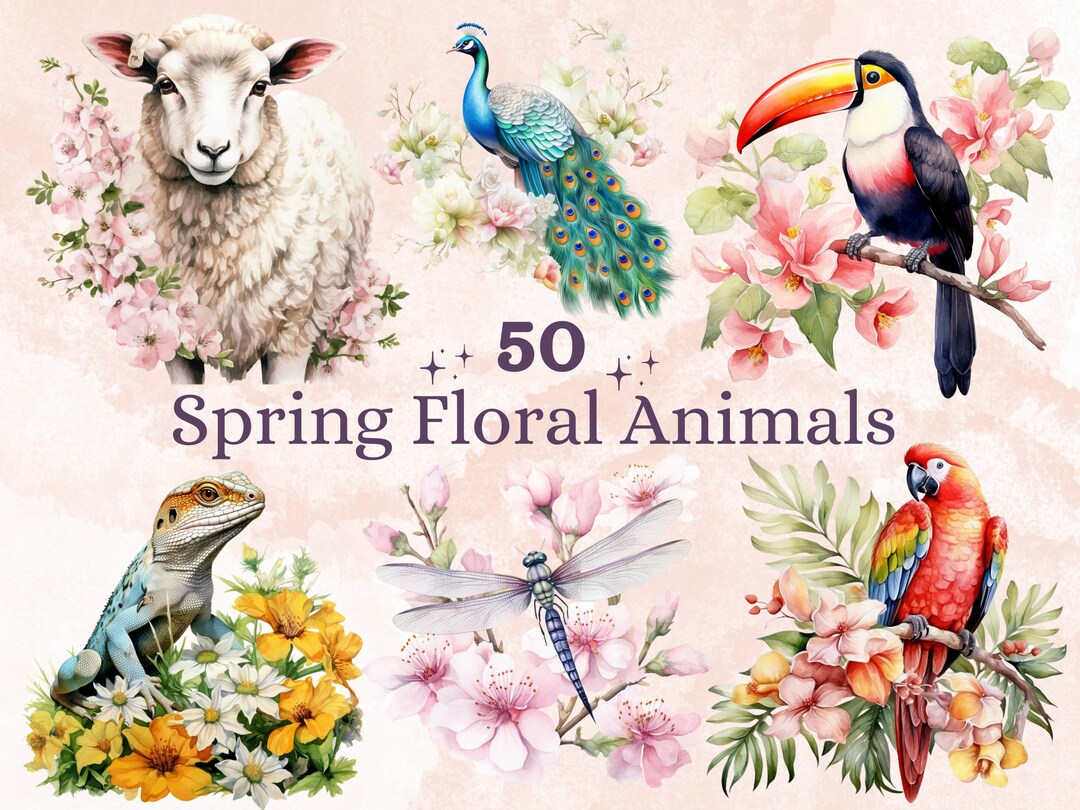 50 PNG Watercolor Spring Animals Clipart, Floral Spring Birds ...