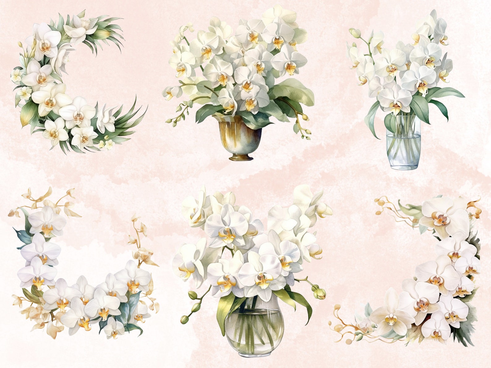 30 PNG Watercolor White Orchids Clipart, Orchid PNG Clip Art Bundle ...