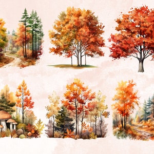 32 PNG Watercolor Fall Woodland Clipart, Autumn Forest Illustrations ...