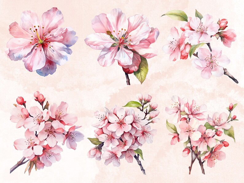 30 PNG Watercolor Cherry Blossom Clipart, Japanese Sakura PNG Clip Art ...