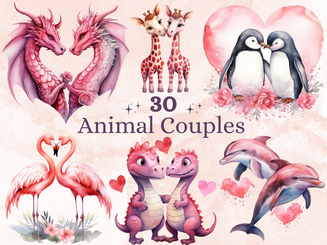 30 PNG Watercolor Valentine's Day Animal Couple Clipart, Valentines Day ...
