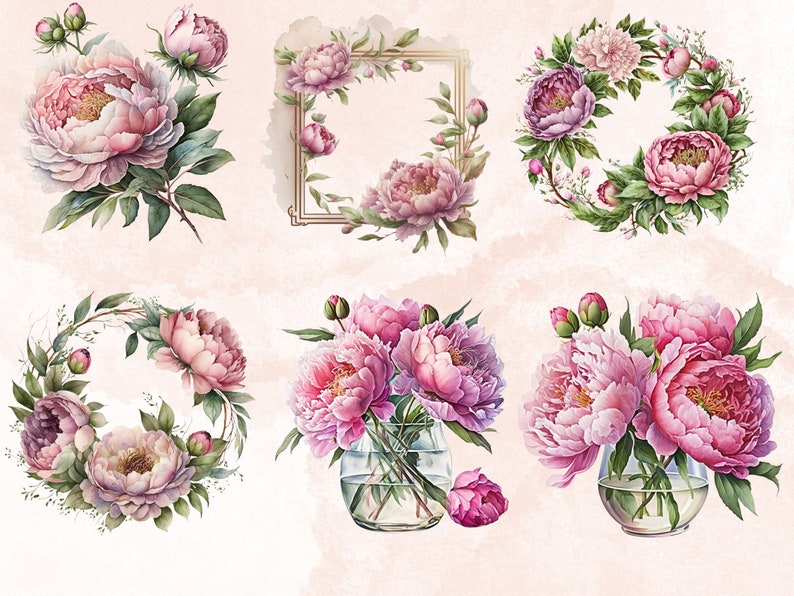 24 PNG Watercolor Pink Peonies Clipart, Pink Peony Clip Art Bundle ...