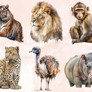 33 PNG Watercolour Safari Animals Clipart Bundle, Jungle Safari PNG ...