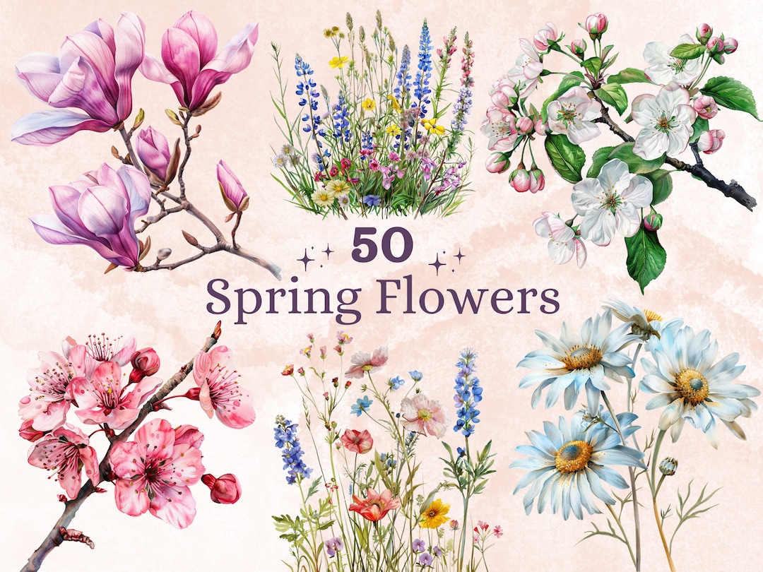 50 PNG Watercolor Spring Flowers Clipart, Floral Spring Meadow ...