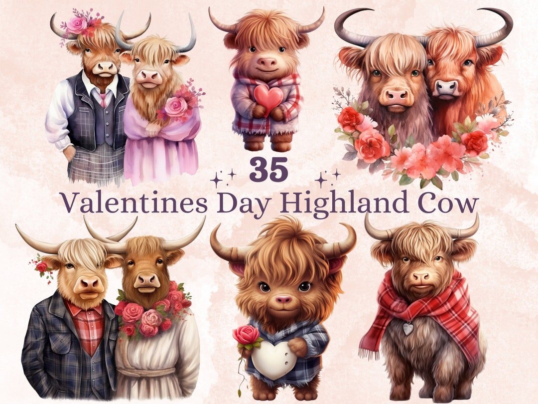 35 PNG Watercolor Valentine's Day Highland Cow Clipart, Valentines Day ...
