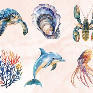 45 PNG Watercolor Underwater Clipart, Ocean Nursery Clip Art, Sea ...