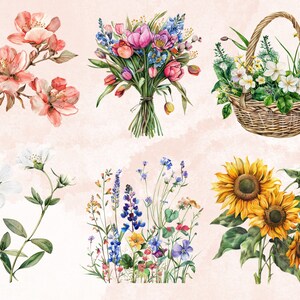 50 PNG Watercolor Spring Flowers Clipart, Floral Spring Meadow ...