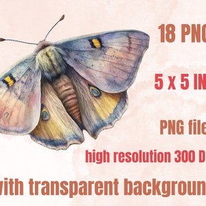 18 PNG Watercolour Pastel Moths Clipart, Moth Clip Art, Pastel ...