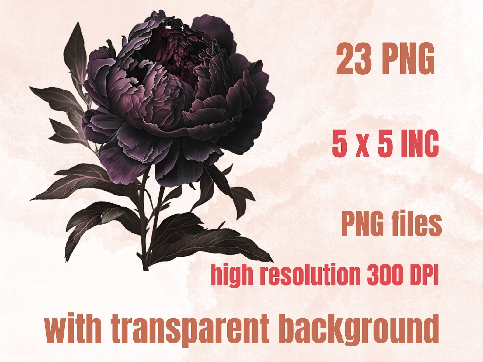 23 PNG Watercolour Gothic Peonies Clipart, Gothic Peony Clip Art Bundle ...
